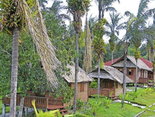 Arrow Point Nature Resort